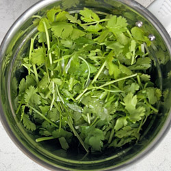 Cilantro Mint Chutney - How to Freeze Chutney -Coriander Chutney Cubes