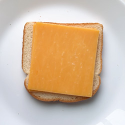 Cheese Sandwich Two ways - in Sandwich Maker and on Stove Top