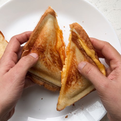 Cheese Sandwich Two ways - in Sandwich Maker and on Stove Top